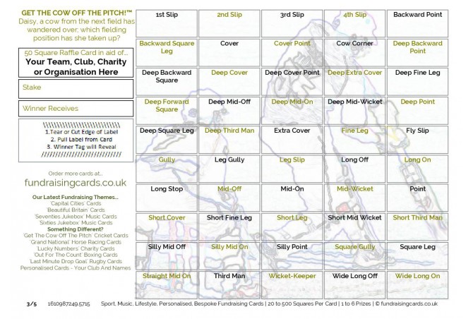 A5 `Get The Cow Off The Pitch` Cricket Fundraising Scratch Cards ...
