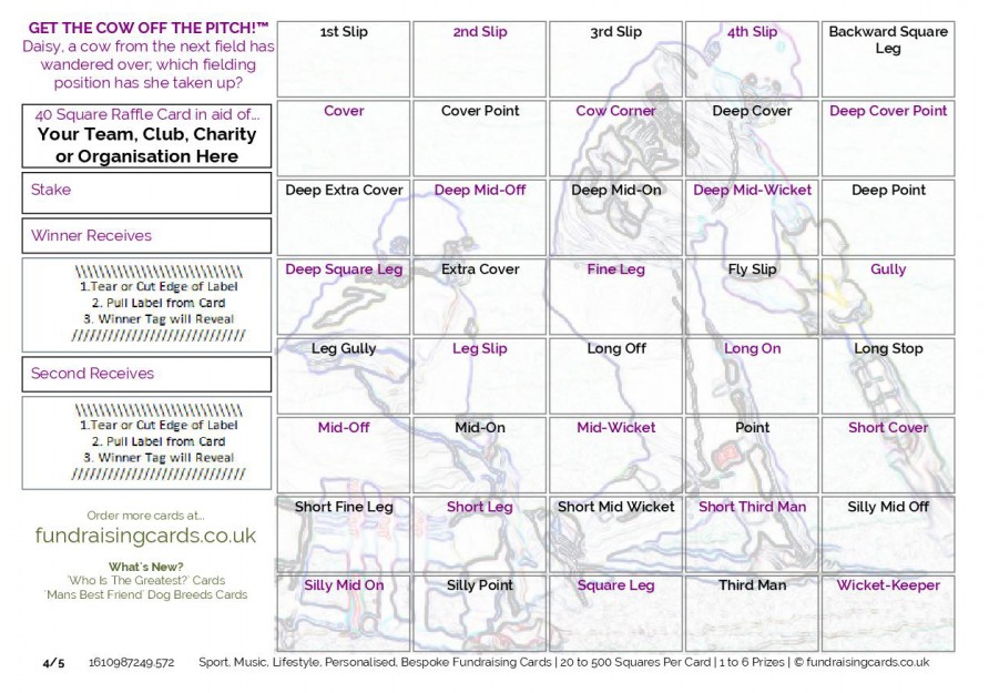 A5 `Get The Cow Off The Pitch` Cricket Fundraising Scratch Cards ...