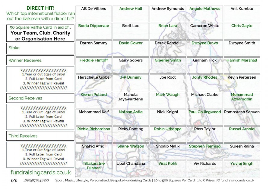 `Direct Hit Run Out` Cricket Fundraising Scratch Cards / Raffle Ticket ...