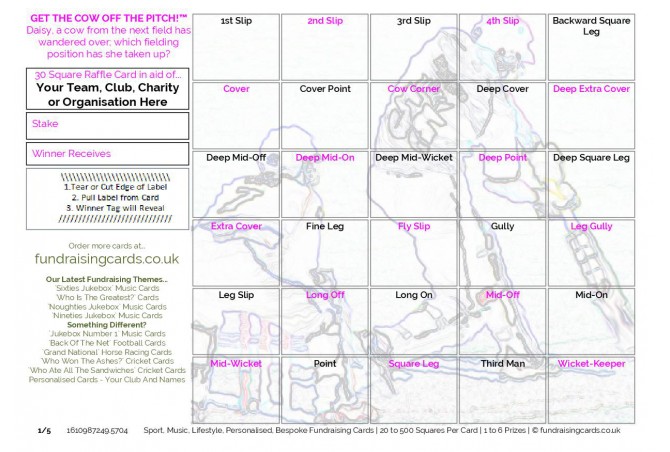 `Assorted Theme` Cricket Fundraising Scratch Cards / Raffle Ticket ...