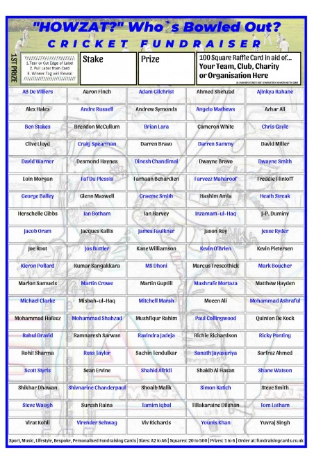 A4 `Howzat` 100 Square Cricket Fundraising Scratch Card / Raffle / Draw ...
