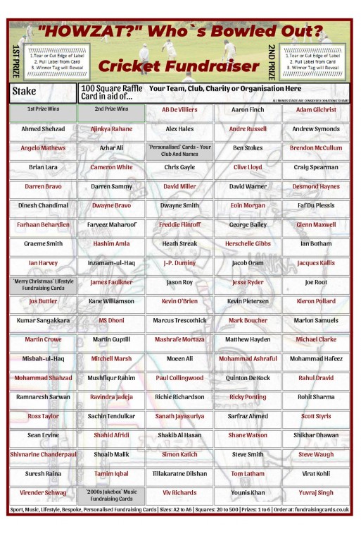 A4 `Howzat` 100 Square Cricket Fundraising Scratch Card / Raffle / Draw ...