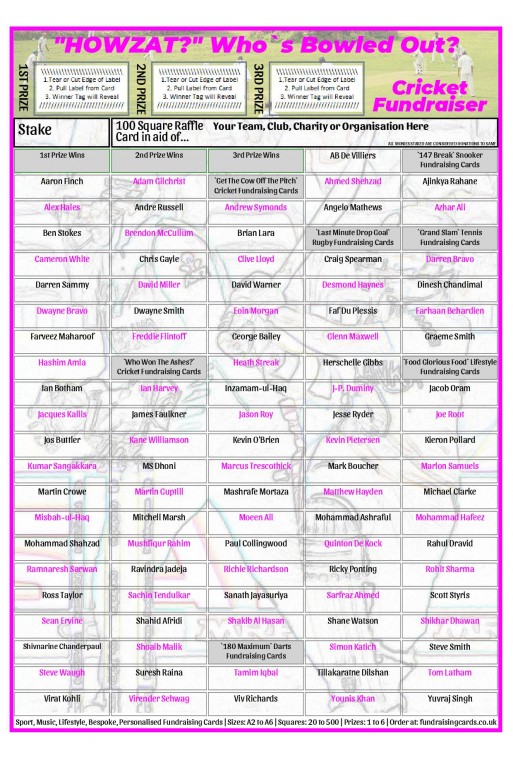 A4 `Howzat` 100 Square Cricket Fundraising Scratch Card / Raffle / Draw ...