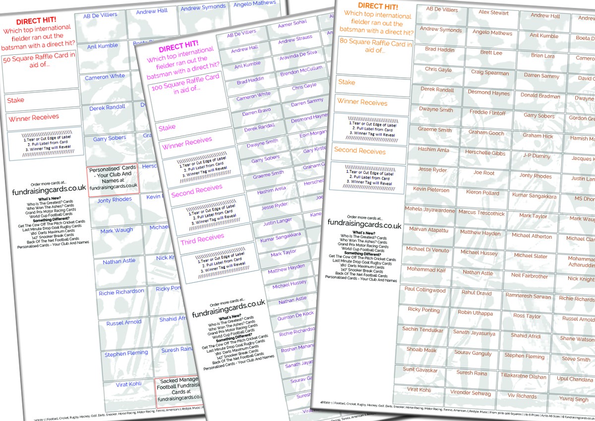 `Direct Hit Run Out` Cricket Fundraising Raffle Ticket / Draw Card