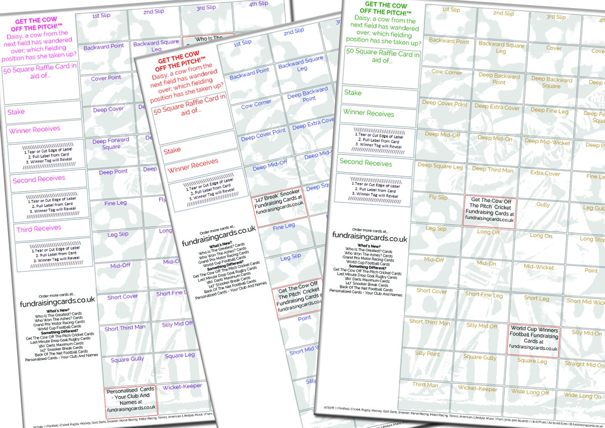 `Get The Cow Off The Pitch` Cricket Fundraising Raffle Ticket / Draw Card